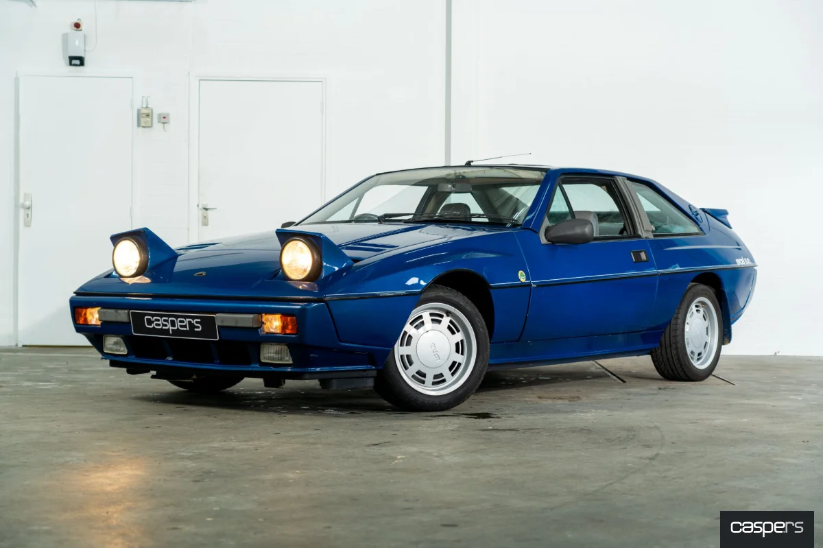 lotus excel blue